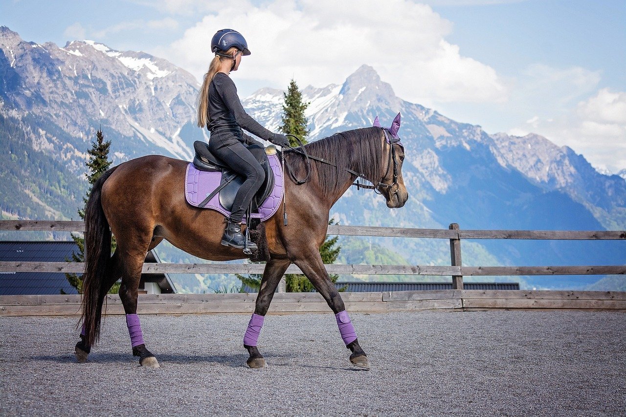 Mastering the Basics: Essential Riding Techniques for Beginners - Horse ...