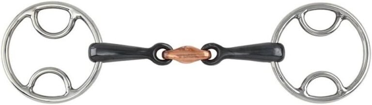 Shires Equestrian Sweet Iron Bevel Bit Review - Horse Excel