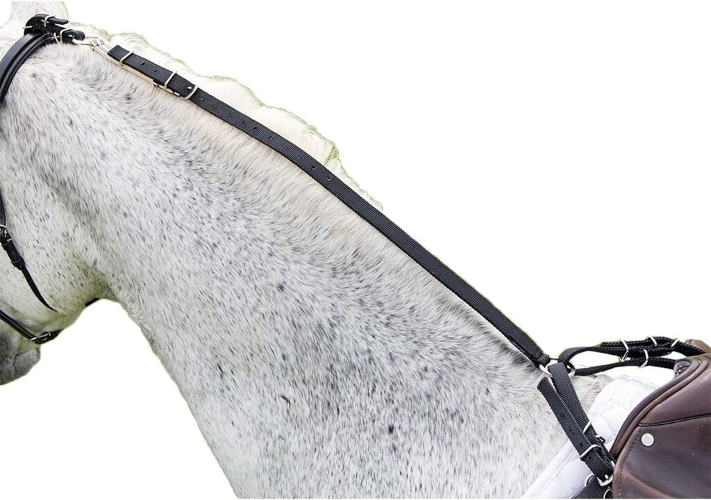 Shires Daisy Rein Black One Size Review - Horse Excel